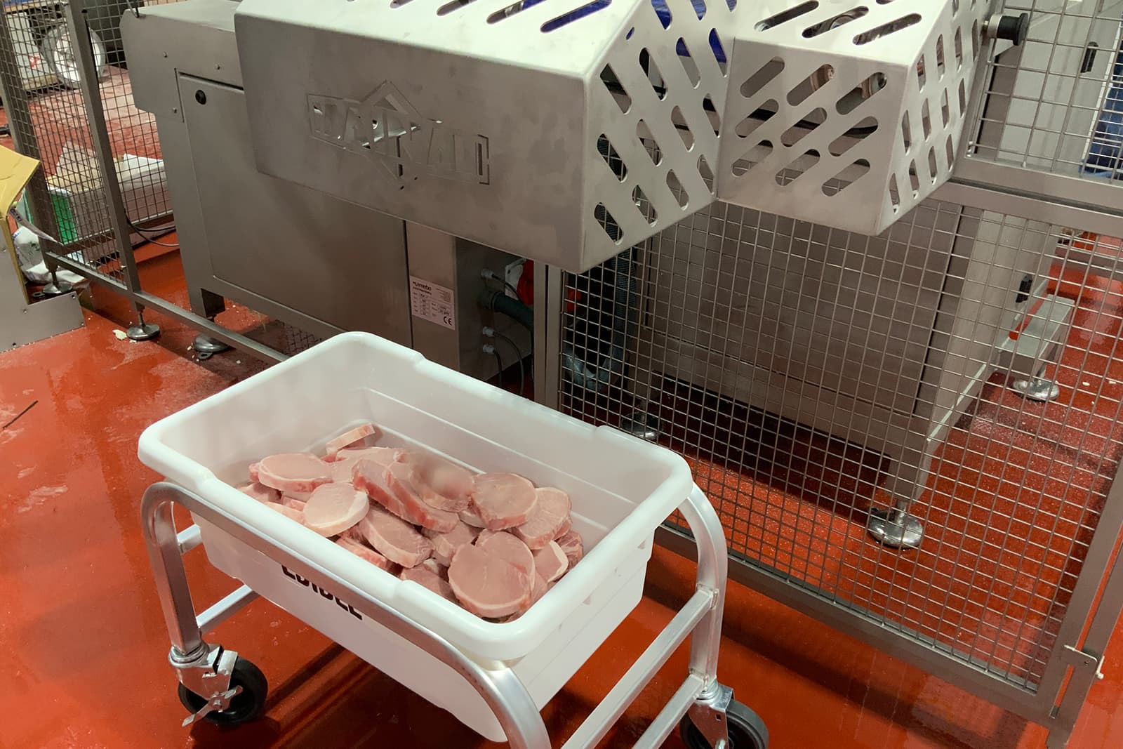 Mainali - FusionTech