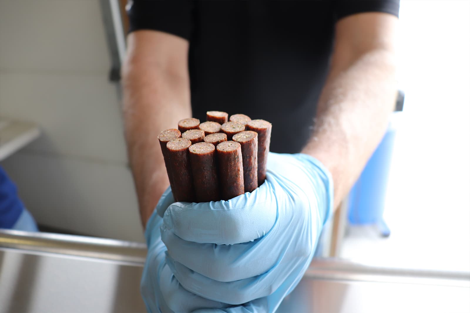 Meat Sticks - FusionTech